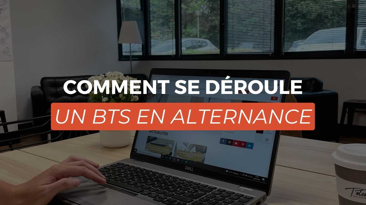 Comment se déroule un BTS en alternance ? Le cas du BTS MCO | Totem ...