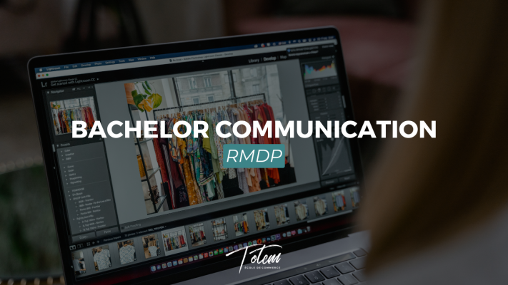 ARTICLE SUR LE BACHELOR RMDP : RESPONSABLE MARKETING DIGITAL ET PUBLICITÉ EN LIGNE